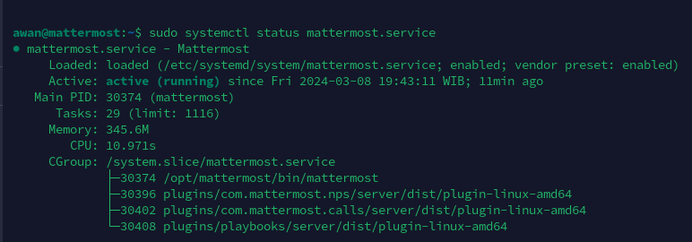 Cara Menginstall Mattermost Di Ubuntu 2204 Dengan Nginx Proxy