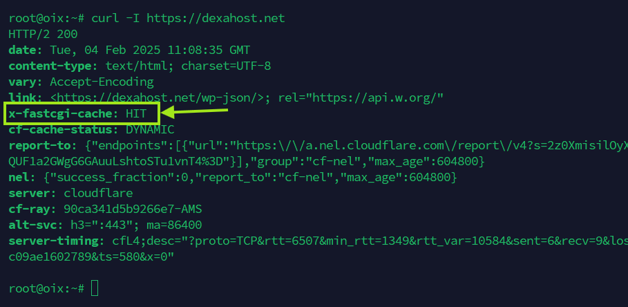 Cara Konfigurasi Nginx Cache untuk Mempercepat Website | AwanServers